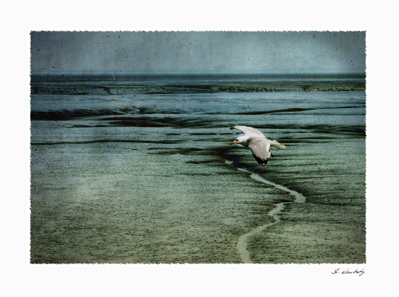 ~Meeresstrand~ Foto & Bild | fotokunst, mehr vom meer, spezial Bilder ...