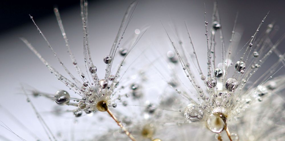 Mehr schein wie sein.... Foto & Bild | nature, spezial, wasser Bilder ...