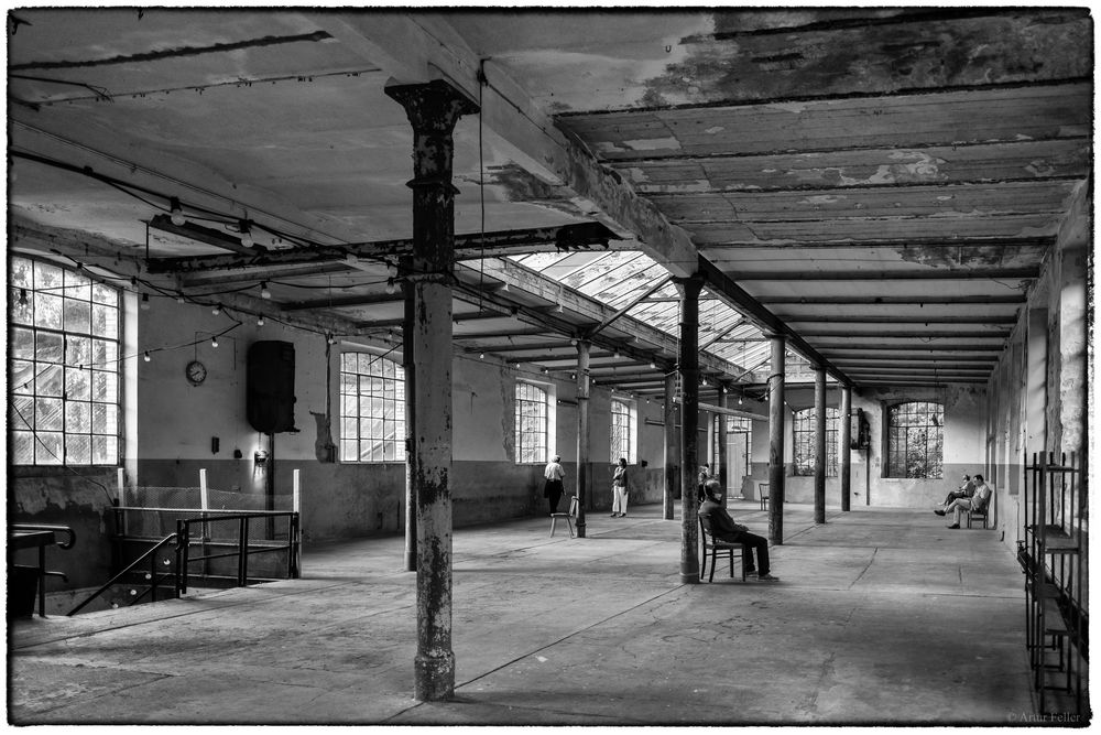 Meilensteine der Gestrüppphotographie Foto & Bild | architektur, kunstfotografie & kultur ...