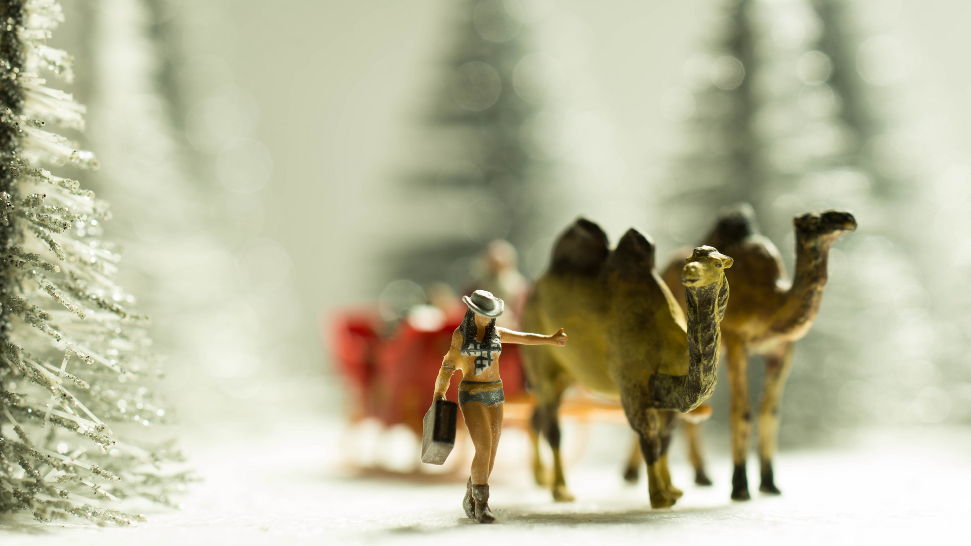 Meilenweit muss ich gehen Foto & Bild | stillleben, kunstfotografie & kultur, gratulation und ...