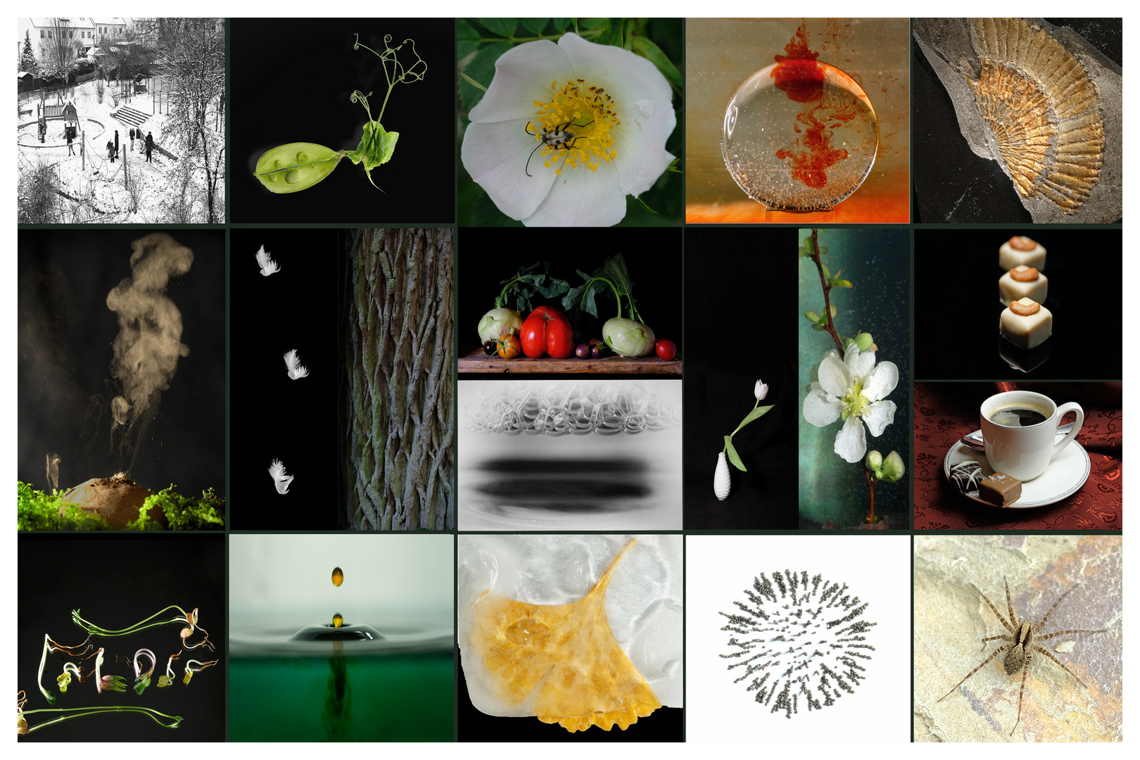 mein 2021 Foto & Bild | jahresrückblick, collagen: das war 2021, food ...