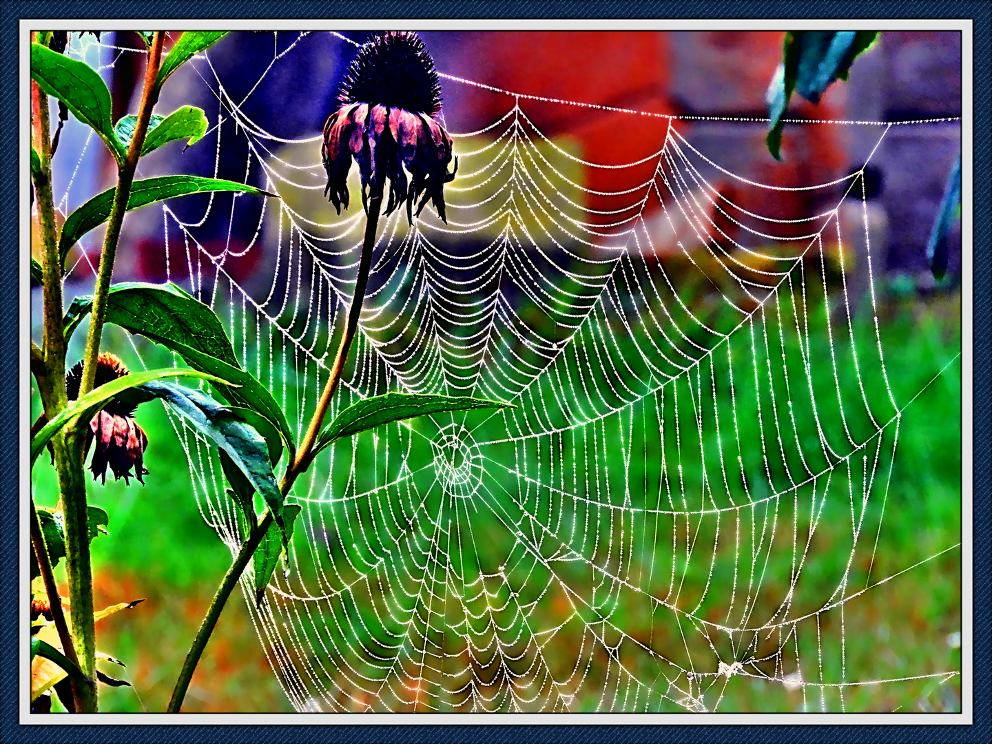 Mein 800.Bild im Netz Foto & Bild | abstraktes, tiere, wildlife Bilder ...