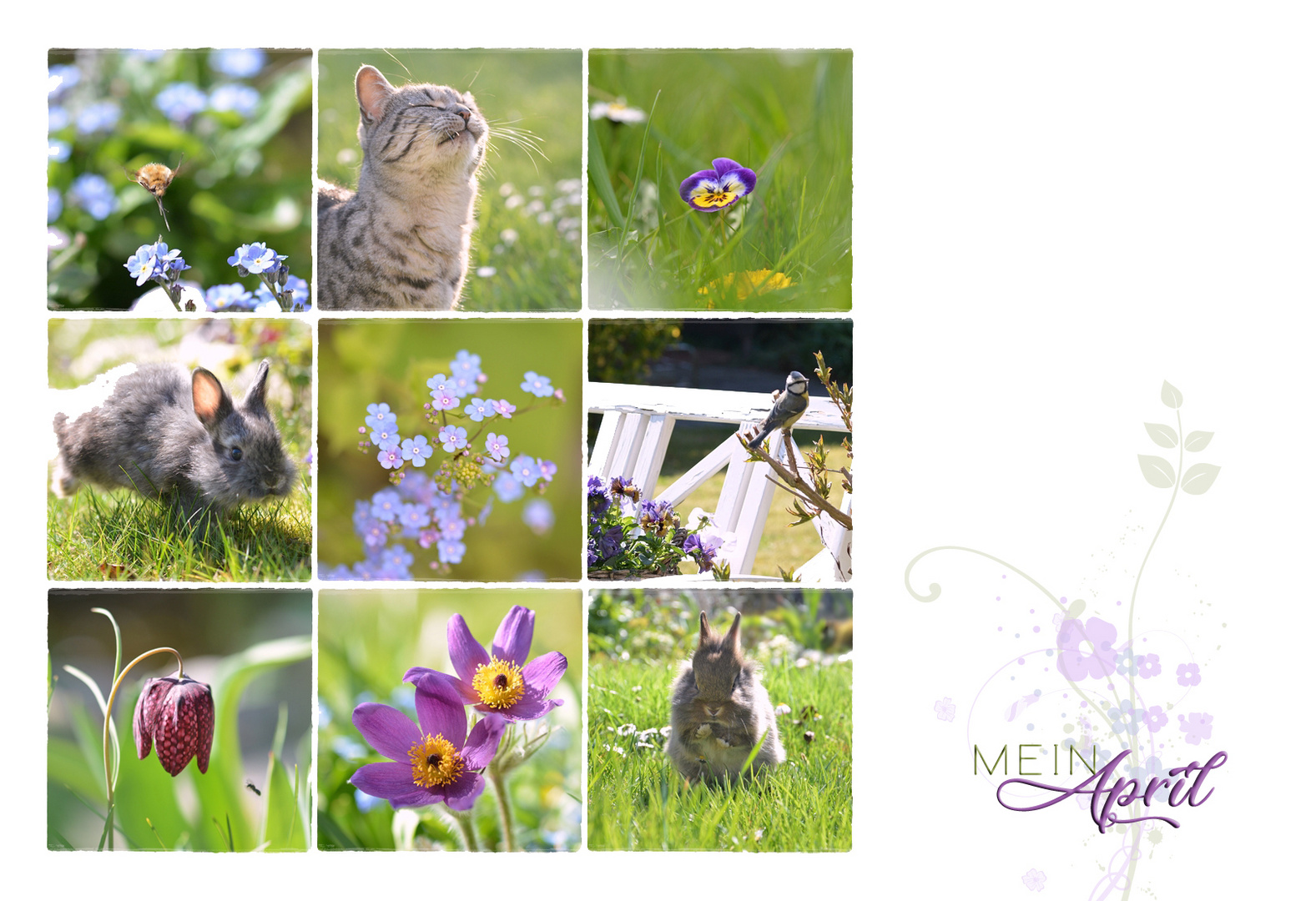 Mein April Foto & Bild | frühling, april, natur Bilder auf fotocommunity