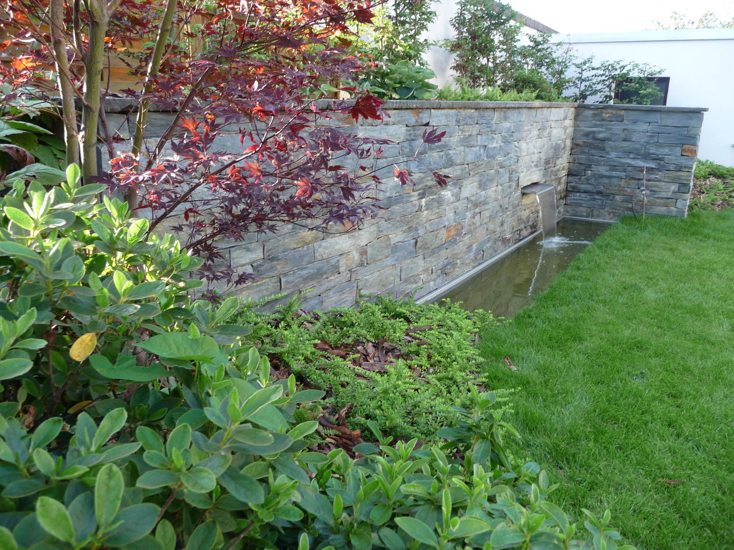 Mein Garten Foto & Bild | natur, anfängerecke - nachgefragt ...