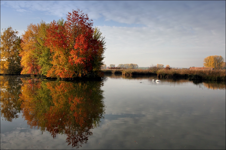 Mein Lieblingsplatz.... Foto & Bild | jahreszeiten, herbst, landschaften Bilder auf fotocommunity