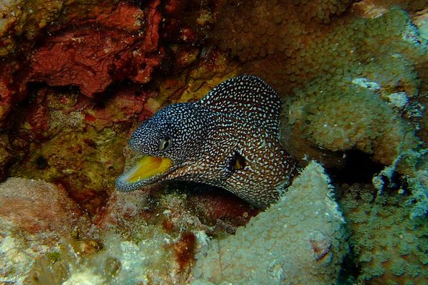 Lars Zander - Fotos & Bilder - Fotograf | fotocommunity