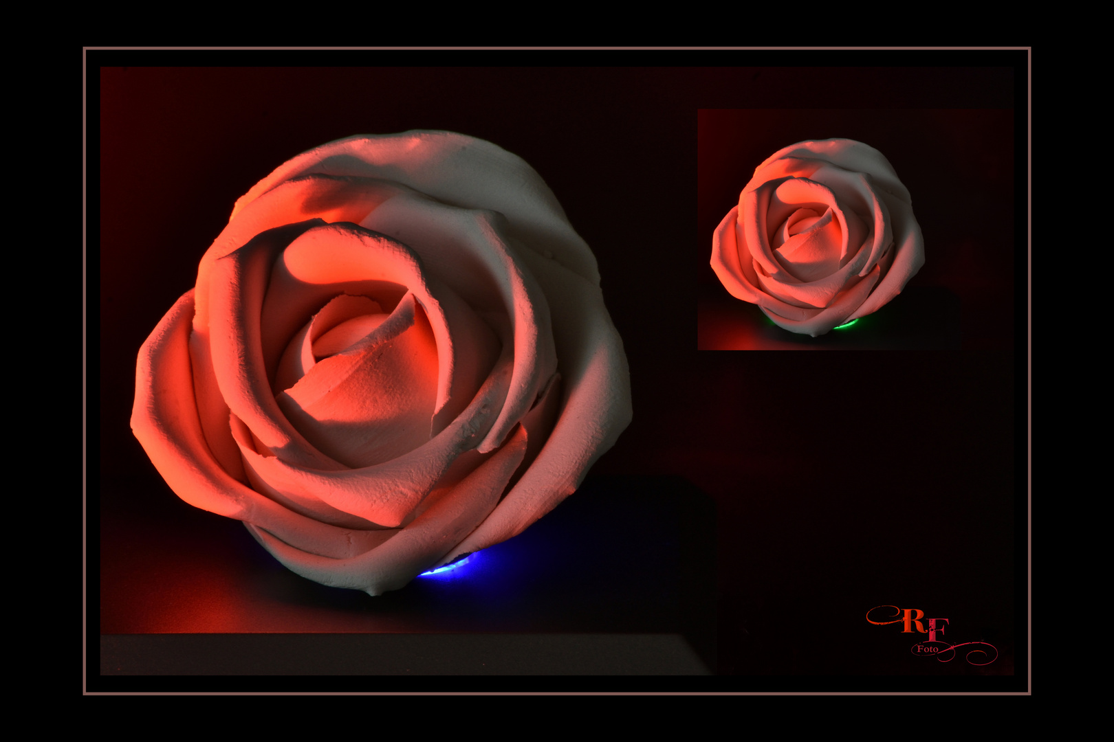 Mein Mittwochsblümchen - Eine Rose aus Gips ... Foto & Bild ...