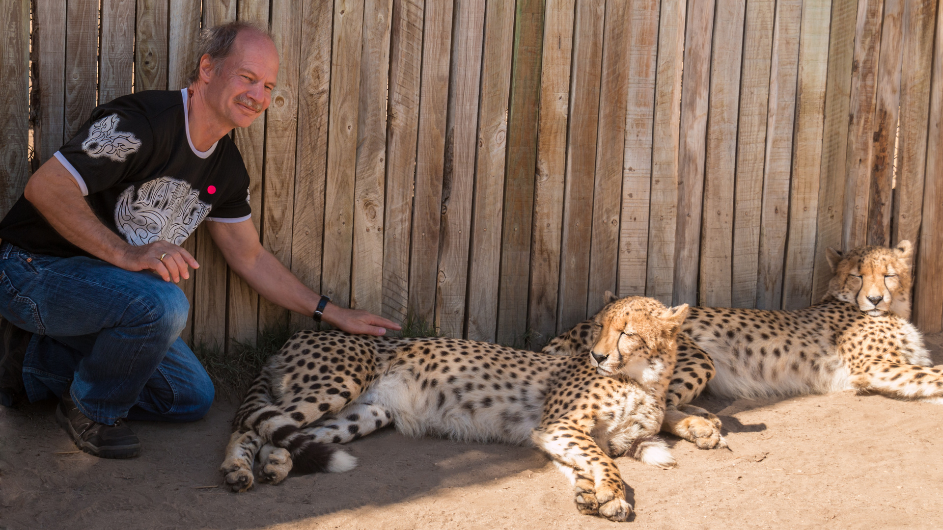 Mein neues Haustier Foto & Bild | world, natur, south africa Bilder auf ... Mein neues Haustier Foto & Bild | world, natur, south africa Bilder auf ...