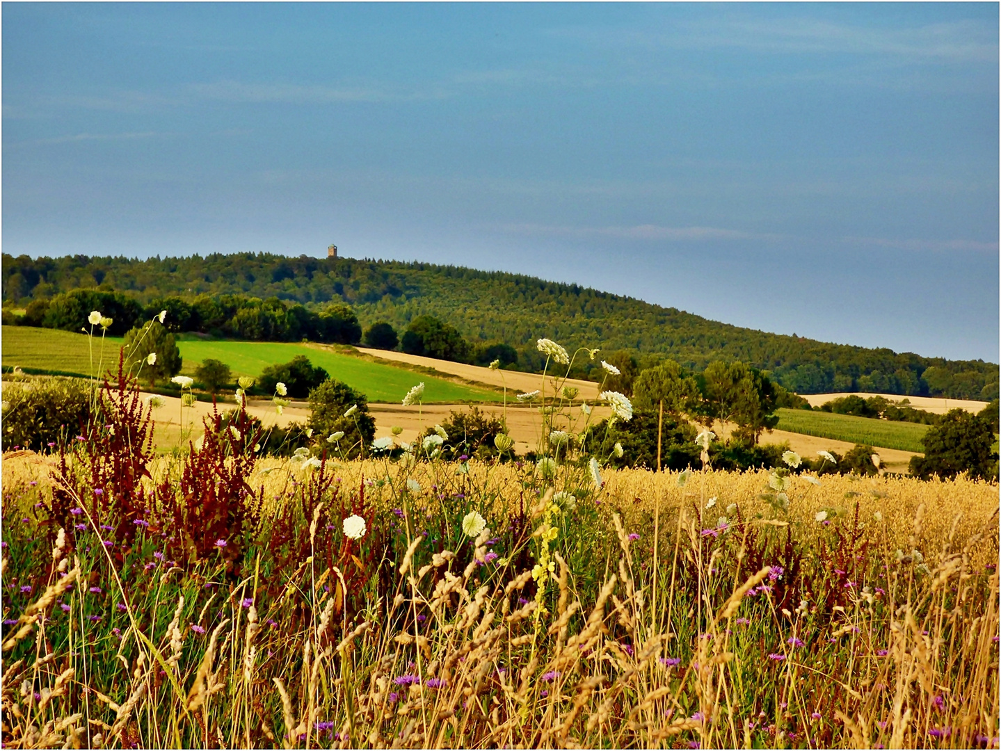 "Mein Revier" ... Foto & Bild | world, deutschland, europe Bilder auf ...