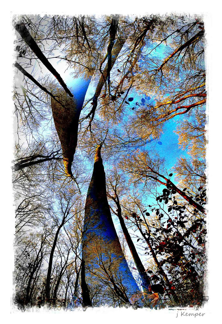 - mein surrealer Herbst-Wald mit blauem Himmel - Foto & Bild | projekte, bearbeitungs ...