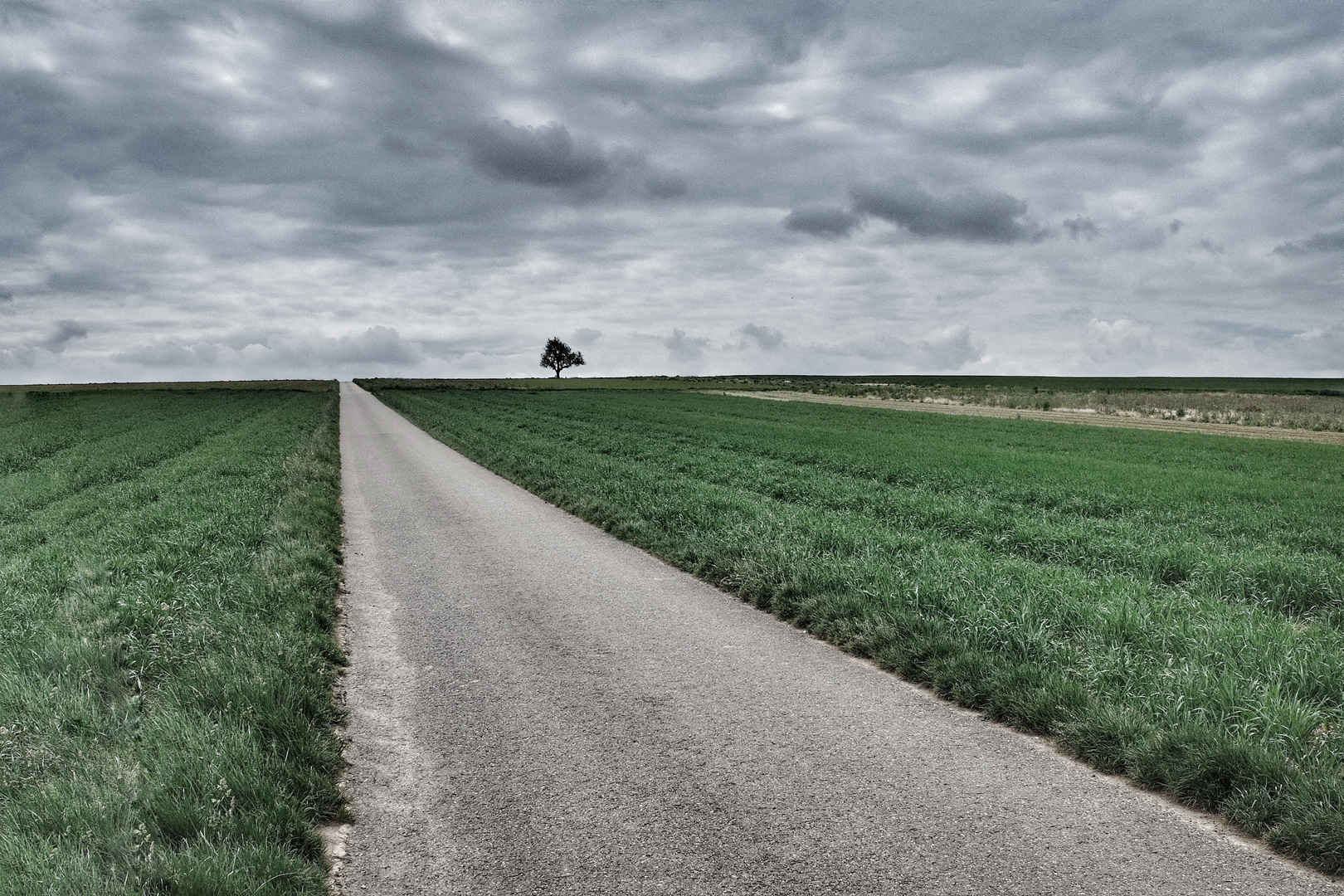 Mein Weg Foto & Bild | bäume, himmel, felder Bilder auf fotocommunity