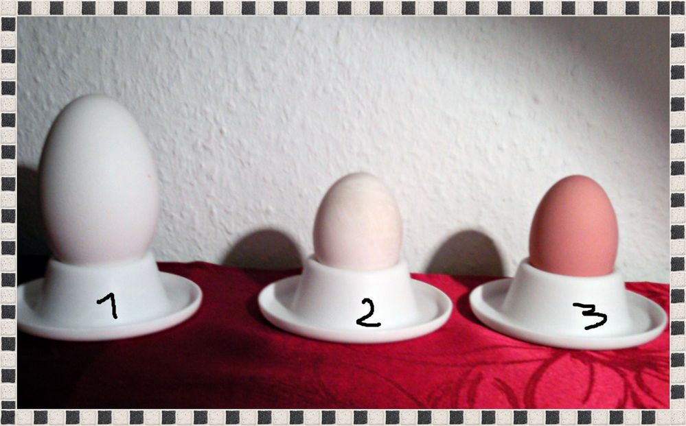 Meine Frühstücks-Sinfoni Foto & Bild | sonstiges, kunstfotografie ...