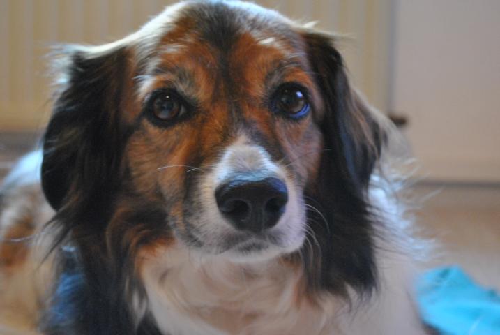 Meine Maus Foto & Bild | anfängerecke - nachgefragt, nachgefragt ...