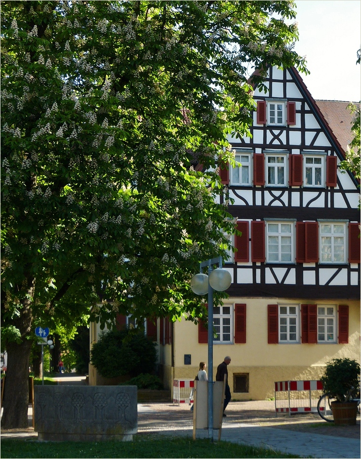 Meine Stadt**** Foto & Bild | deutschland, europe, baden- württemberg ...