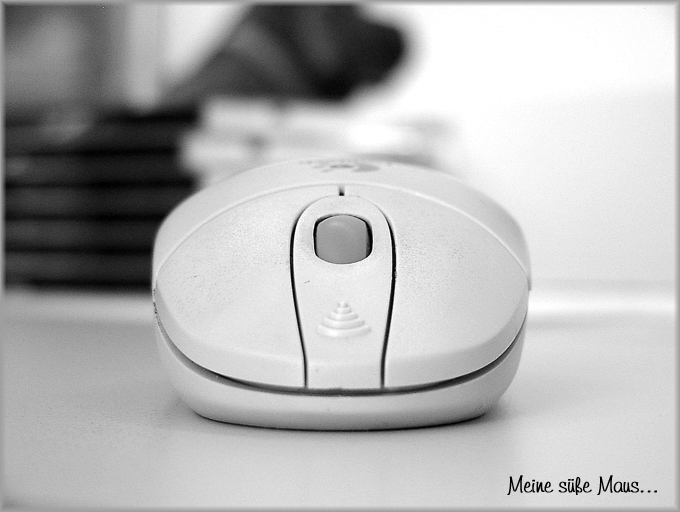 Meine süße Maus... Foto & Bild | nah- & makro, techniken, aufnahme ...