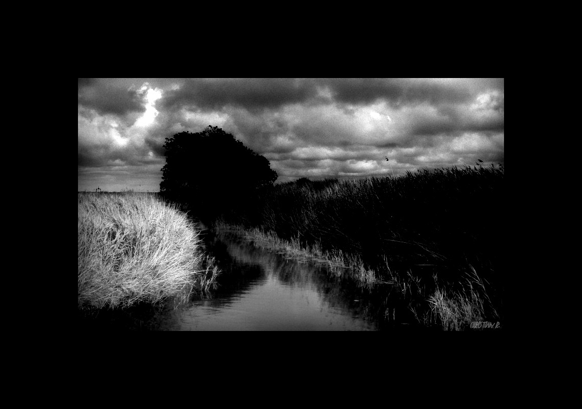 Menace... photo et image | nature, emotions, special Images fotocommunity