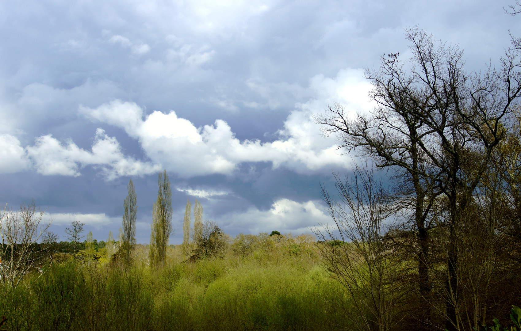 menace !!!! photo et image | divers, la nature simplement, nature ...