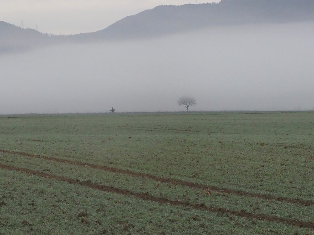 Mensch und Pferd ganz klein in der Nebel-Landschaft Foto & Bild | landschaft, jahreszeiten ...