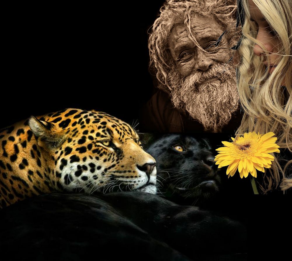 Mensch und Tier Foto & Bild | spezial, natur, composing Bilder auf ...