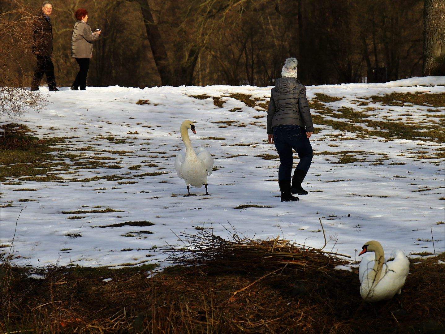 Mensch und Tier Foto & Bild | natur, menschen, tiere Bilder auf ...