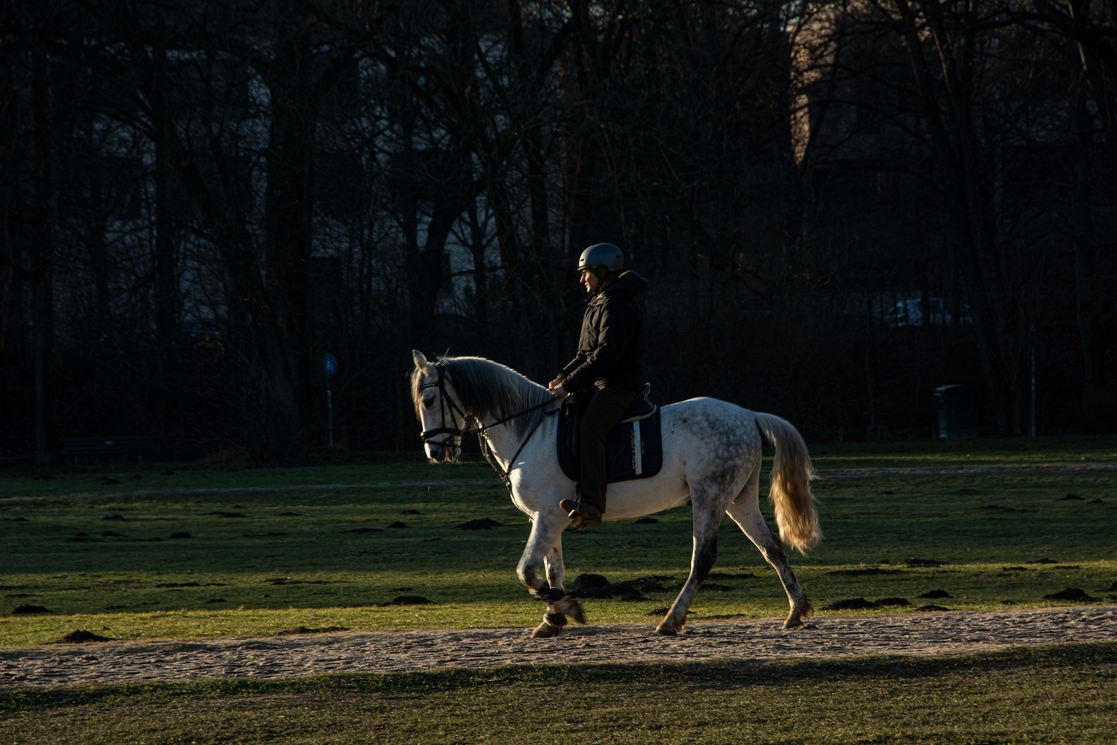 Mensch und Tier Foto & Bild | erwachsene menschen, deutschland, europe ...