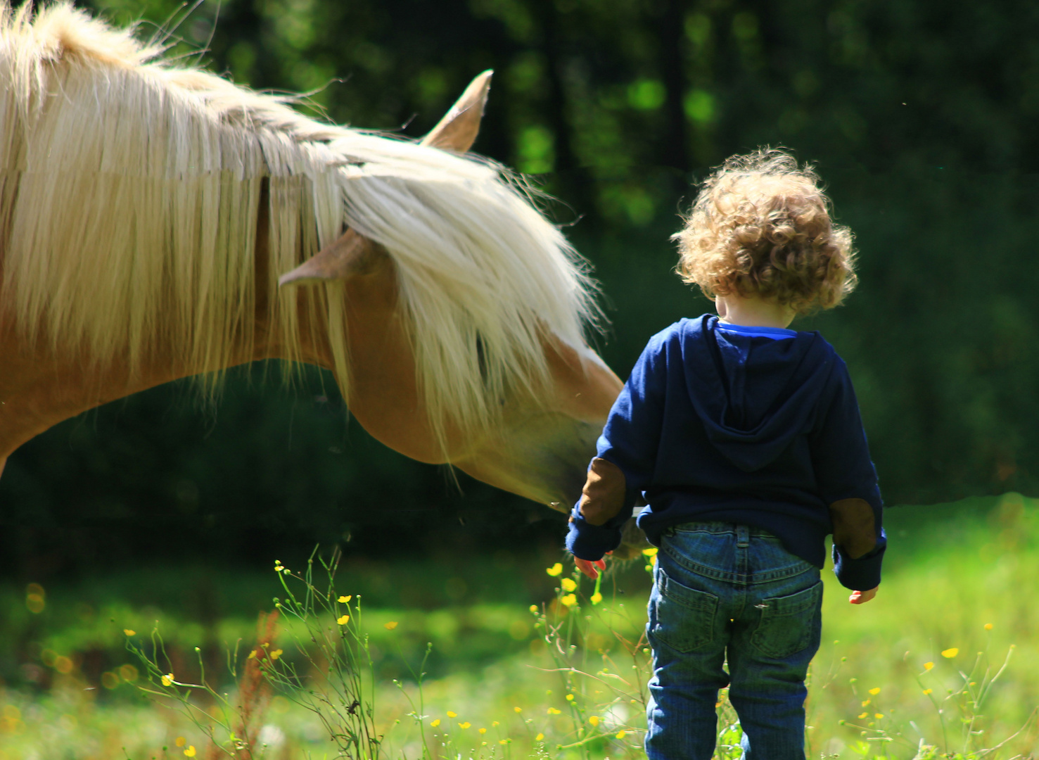 Mensch und Tier Foto & Bild | kinder, kinder ab 2, outdoor Bilder auf ...