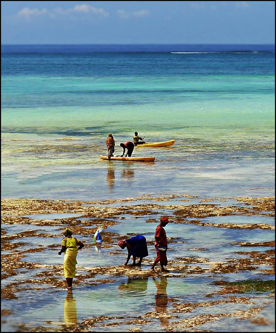 Menschen am Strand Foto & Bild | africa, eastern africa, tanzania ...