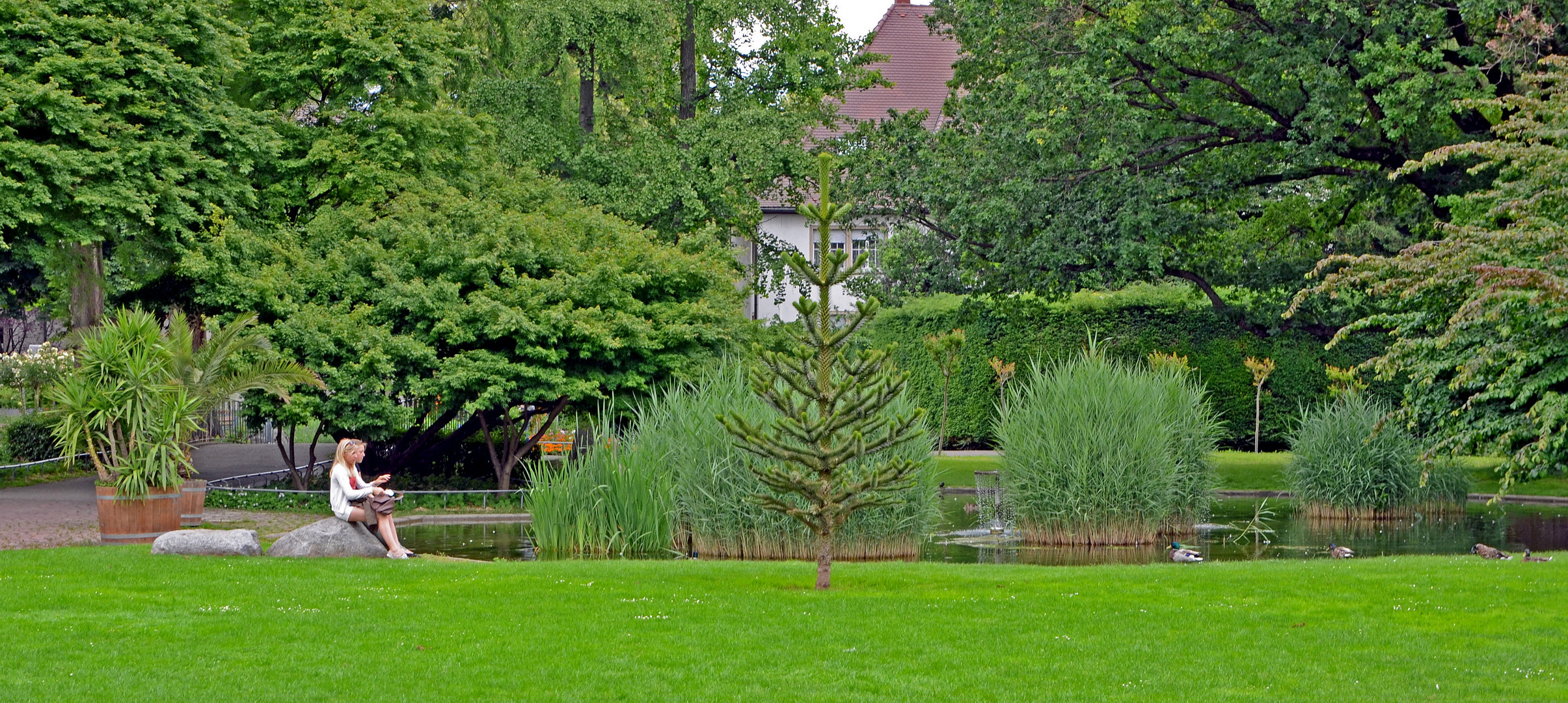 " Menschen im Park " Foto & Bild | erwachsene menschen, menschen in der ...