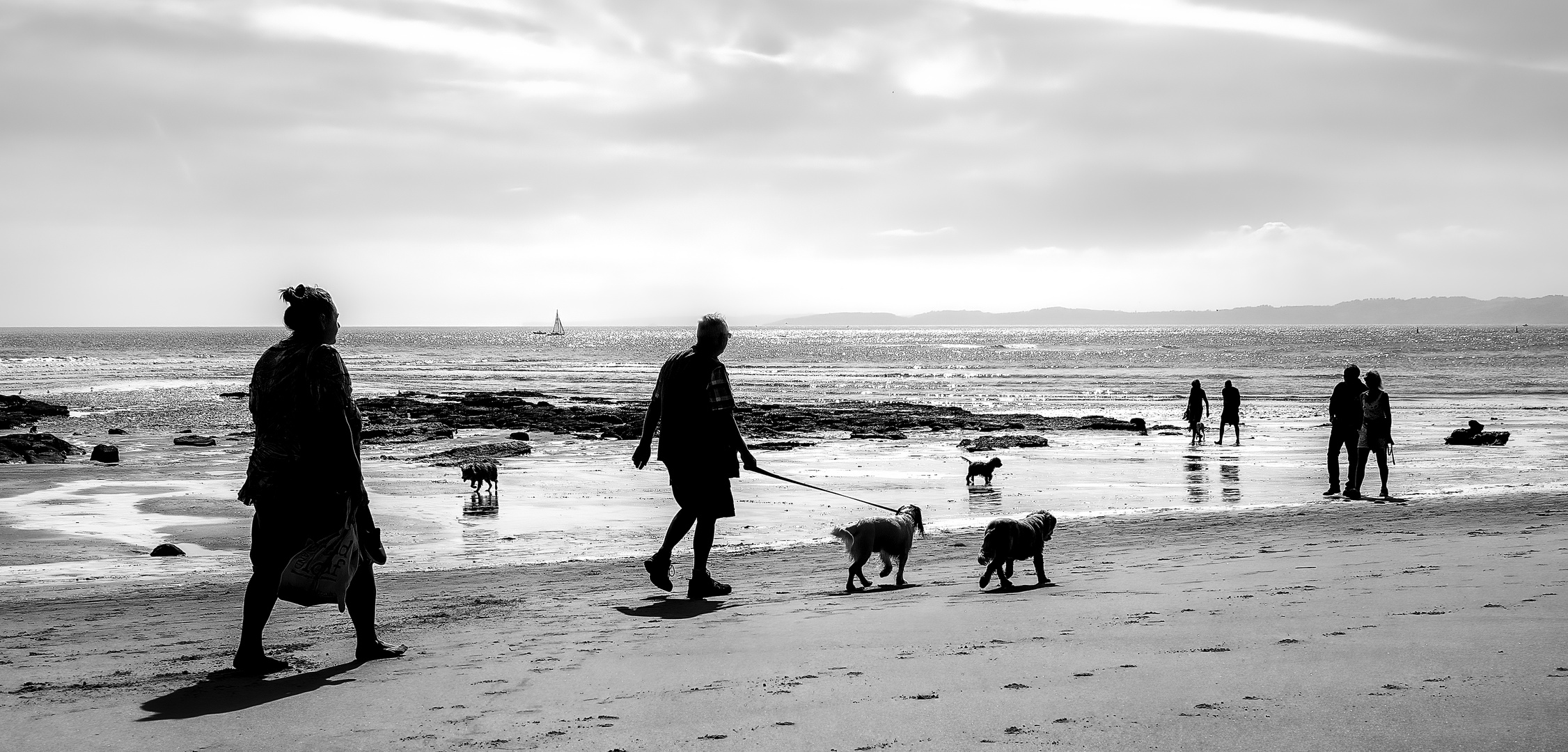 Menschen und Hunde Foto & Bild | spezial, outdoor, hunde Bilder auf fotocommunity