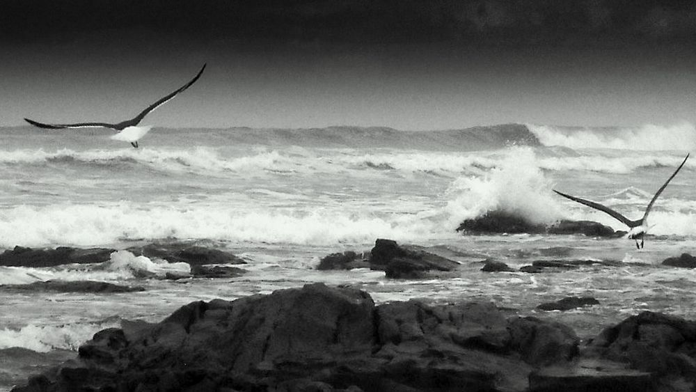 Mer agitée photo et image | paysages, mers et océans, nature Images ...