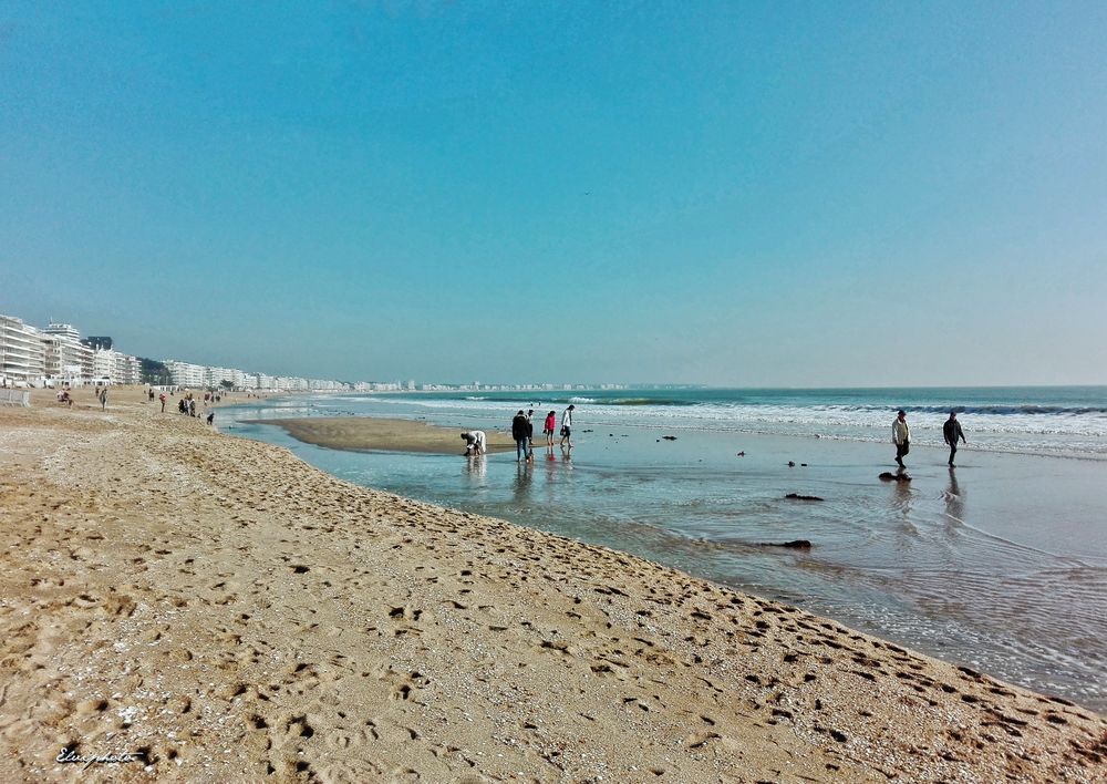 Mer bleue photo et image | paysages, animations photographiques, mers ...