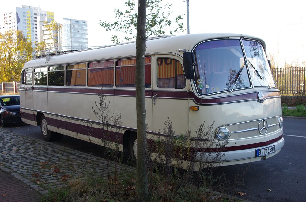 Mercedes-Benz O 321 H Foto & Bild | spezial, bus, oldtimer Bilder auf fotocommunity