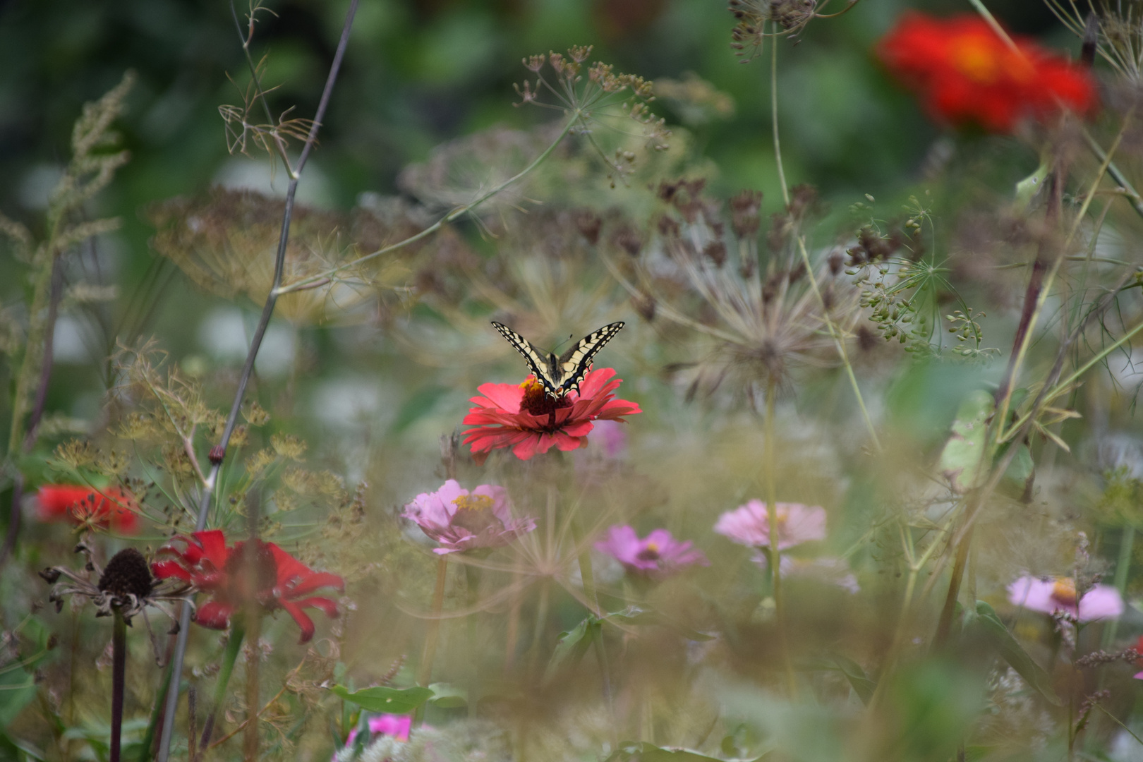MERCI photo et image | nature, paysages, étoiles Images fotocommunity