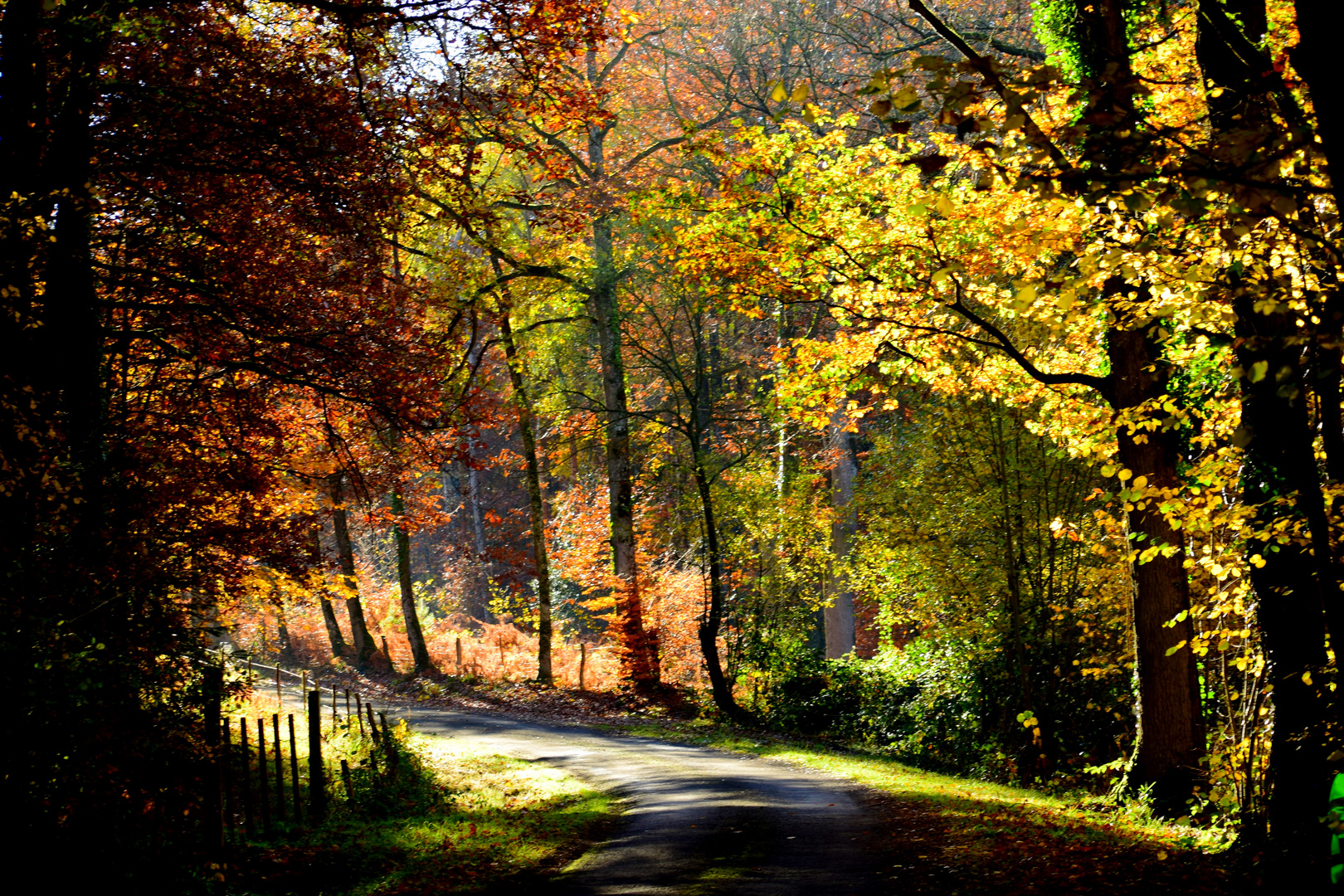 MERCI photo et image | nature, campagne, normandie Images fotocommunity