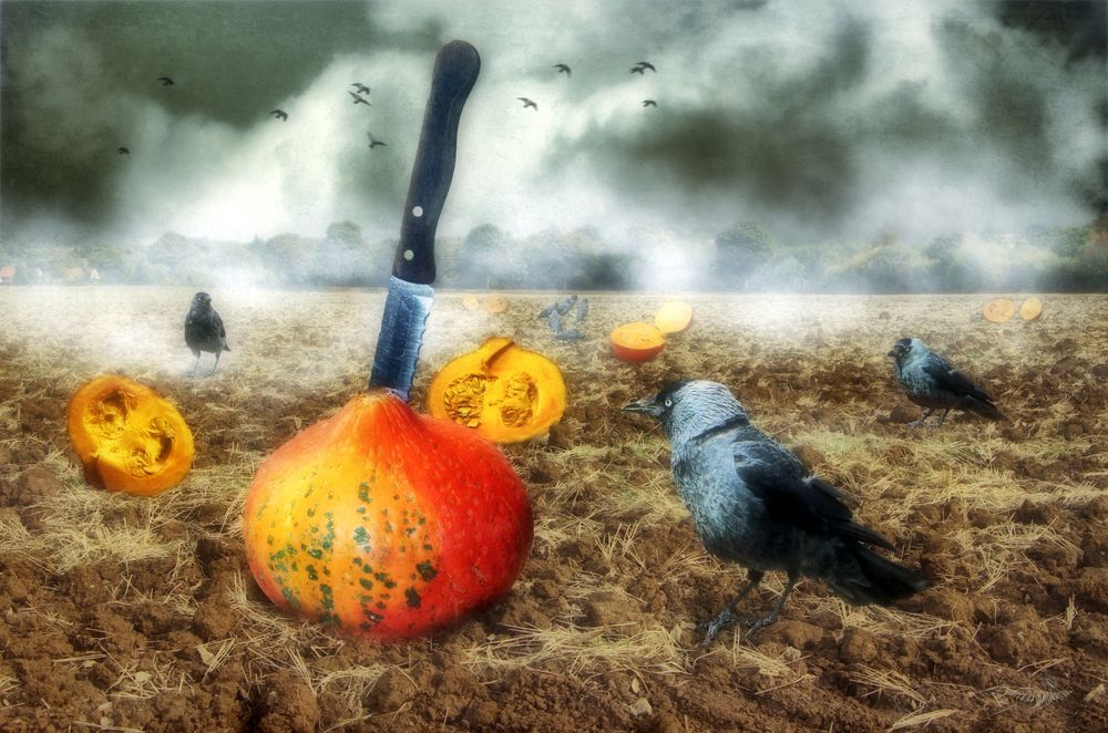 Messers Schneide Foto & Bild | fotomontage, landschaften, composing Bilder auf fotocommunity