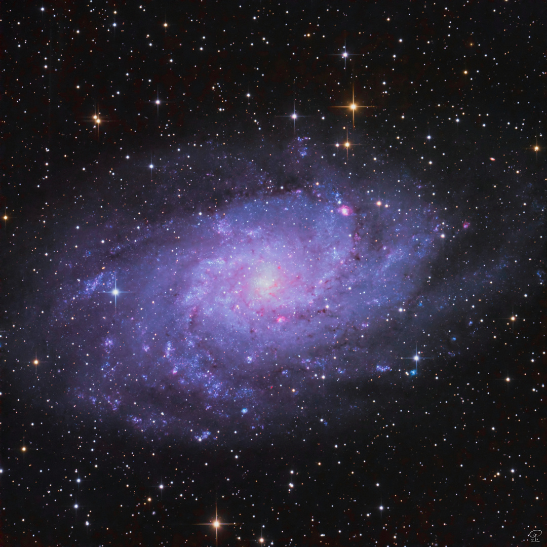 Messier 33, Triangulum Galaxie Foto & Bild | astrofotografie, himmel ...