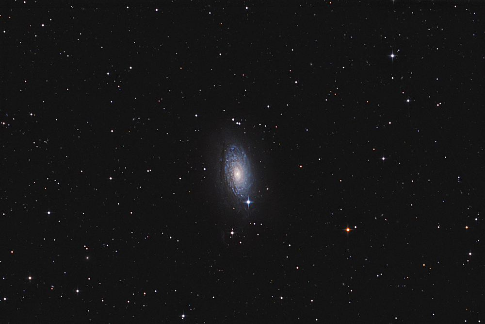 Messier 63 / Sunflower Galaxy Foto & Bild | astrofotografie, himmel ...