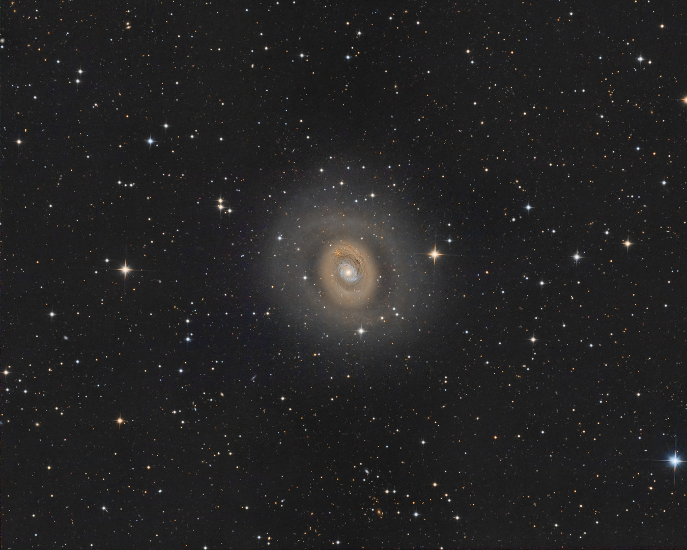 Messier 94 Foto & Bild | astrofotografie, himmel & universum, deep sky ...
