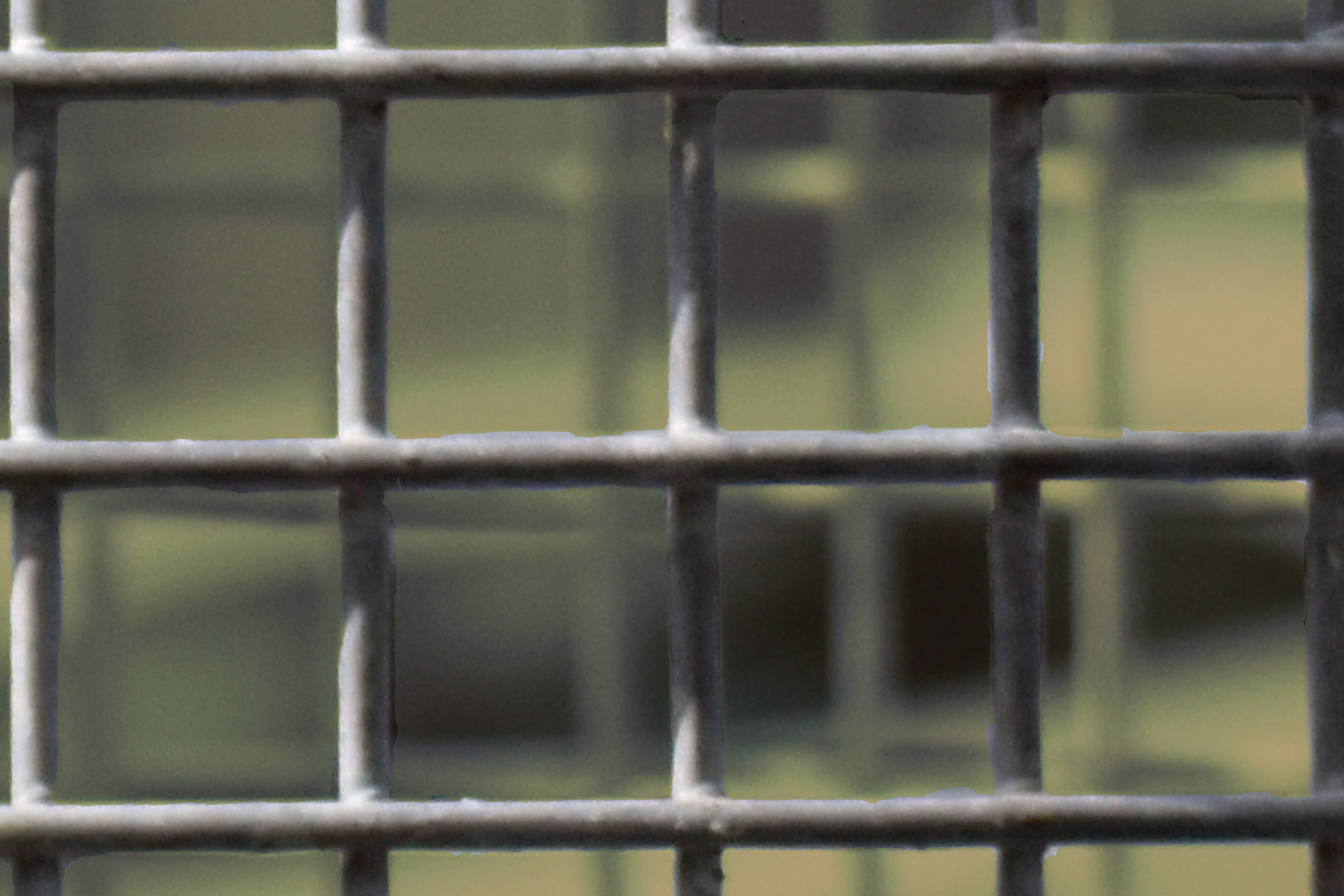 Metallgitter Foto & Bild | archiv projekte naturchannel ...