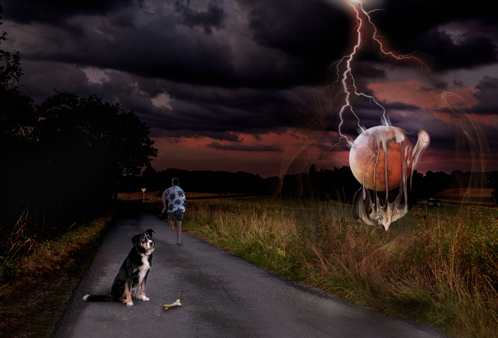 Metamorphose Foto & Bild | fotomontage, composing , digiart challenge Bilder auf fotocommunity