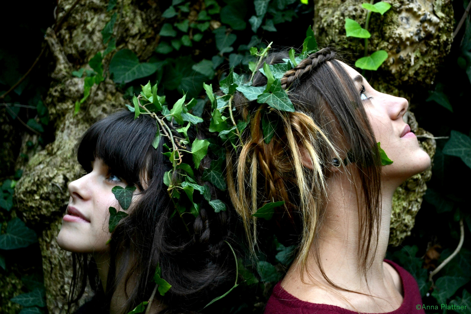 metamorphosis Foto & Bild | jugend, outdoor, nature Bilder auf ...