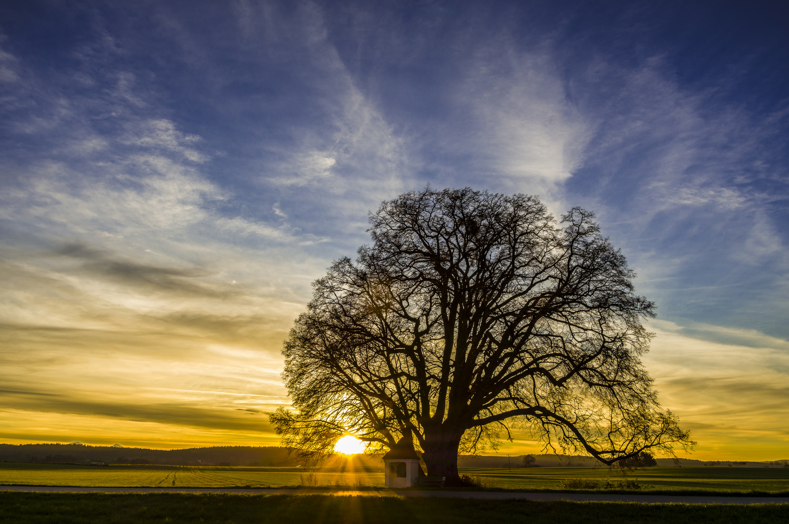 Methusalem-Linde Foto & Bild | landschaft, jahreszeiten, herbst Bilder ...