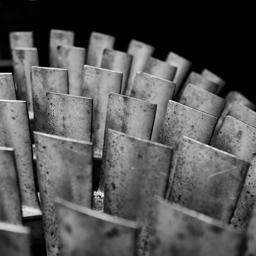 Mettigel Foto & Bild | deutschland, europe, nordrhein- westfalen Bilder ...