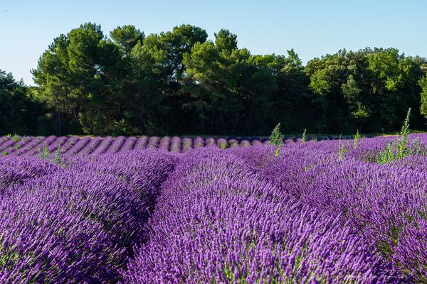 Campagna Immagini e foto
