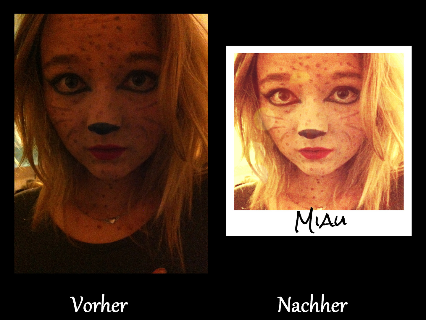 Miau Foto & Bild | bearbeitungs - techniken, filtertechniken, katze Bilder auf fotocommunity