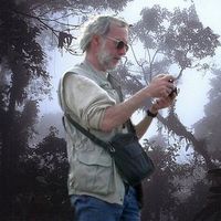 Michael Lüth - Fotos & Bilder - Fotograf aus Freiburg | fotocommunity