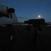 Michael Tetzlaff - Fotos & Bilder - Fotograf aus Klepelshagen ...