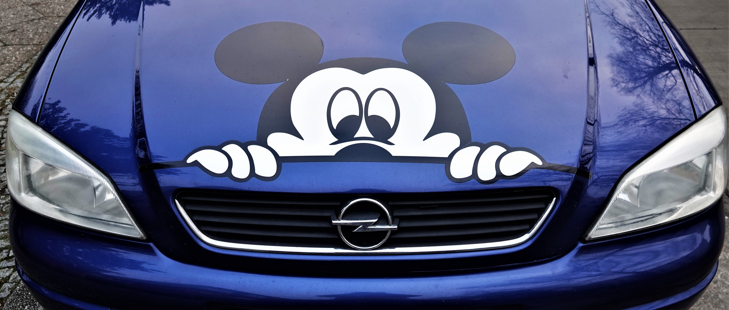 Micky is watching you Foto & Bild | autos & zweiräder, projekte, pkw ...