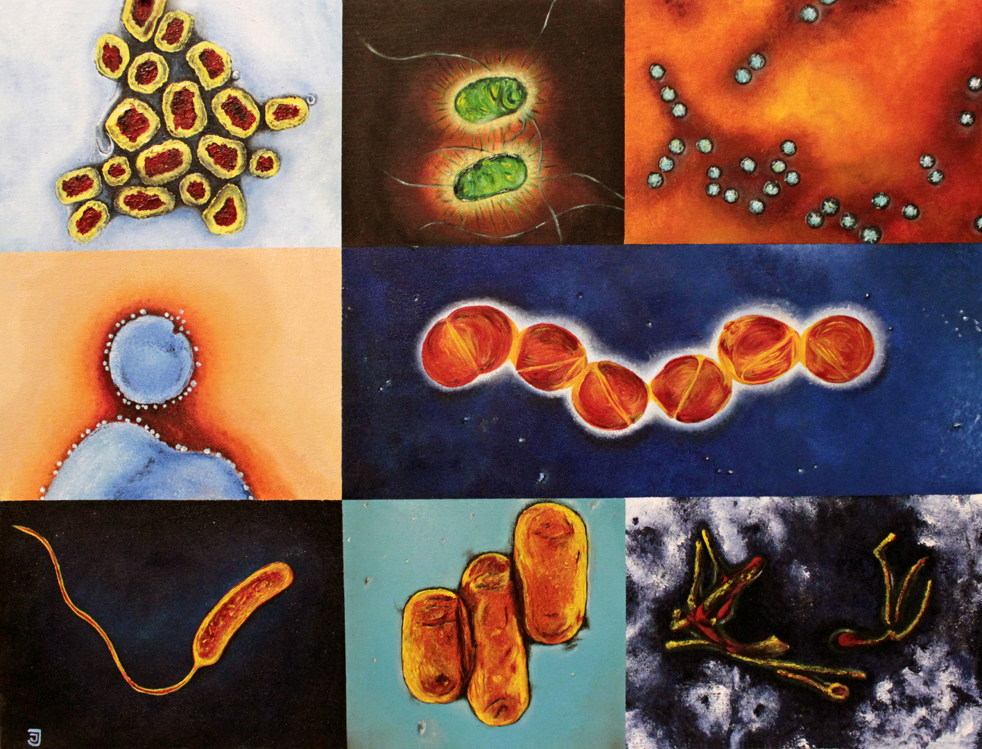 Mikroskopaufnahmen von Viren & Bakterien Foto & Bild | abstraktes ...