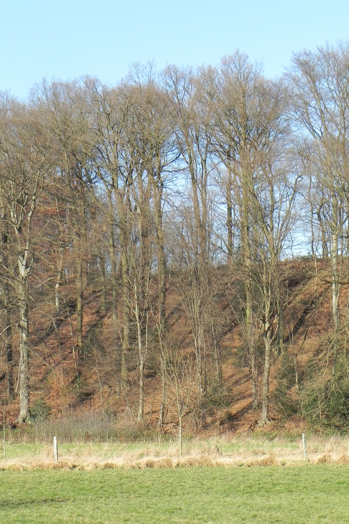 Milder Winter - Januar 2012 Foto & Bild | landschaft, Äcker, felder ...